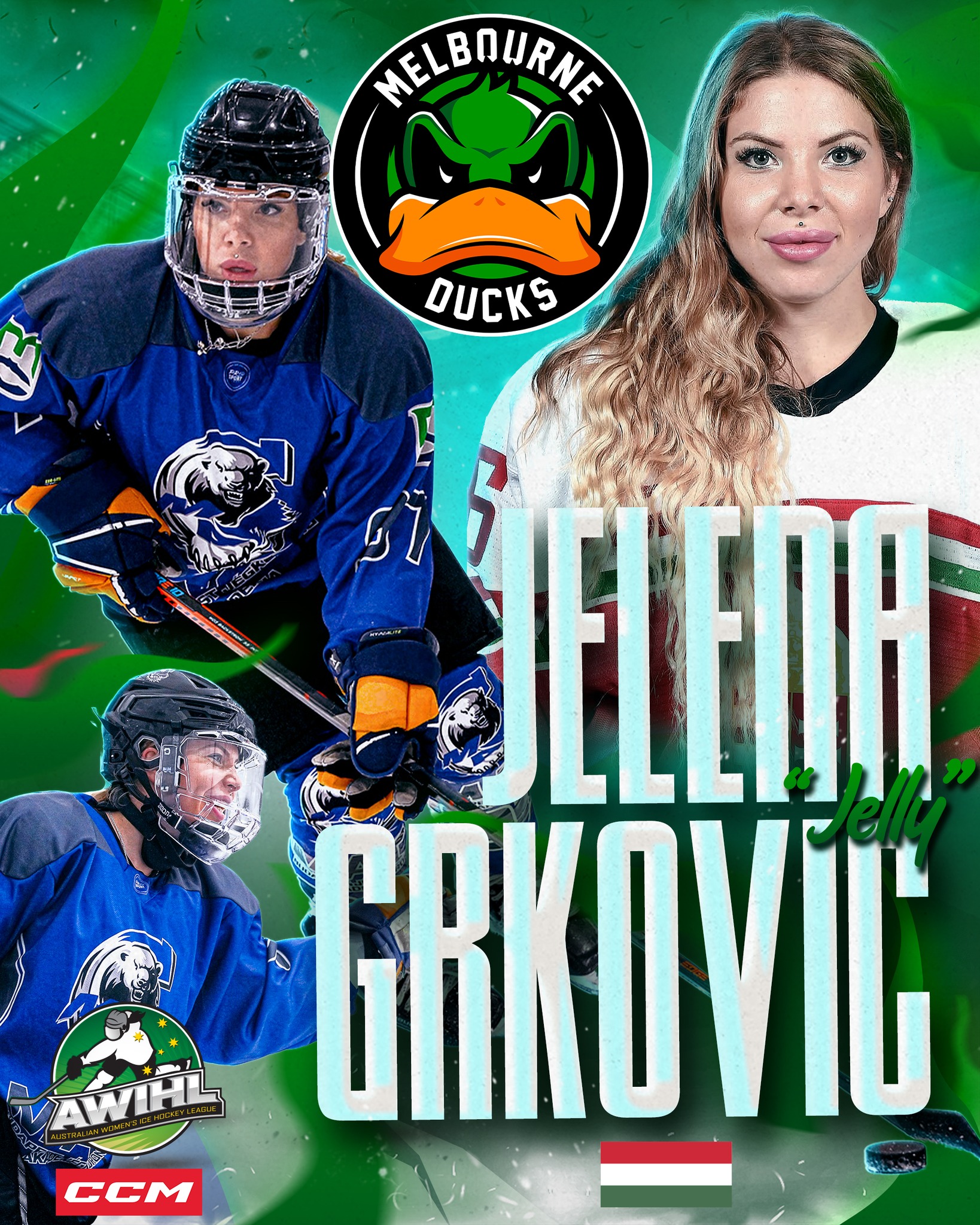 Melbourne Ducks announce first import for debut AWIHL season - Andrew ...