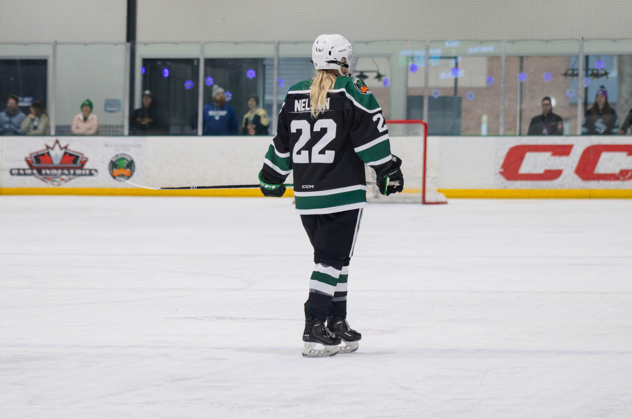 AWIHL: Who's hot for your team this season? - Andrew Macdougall